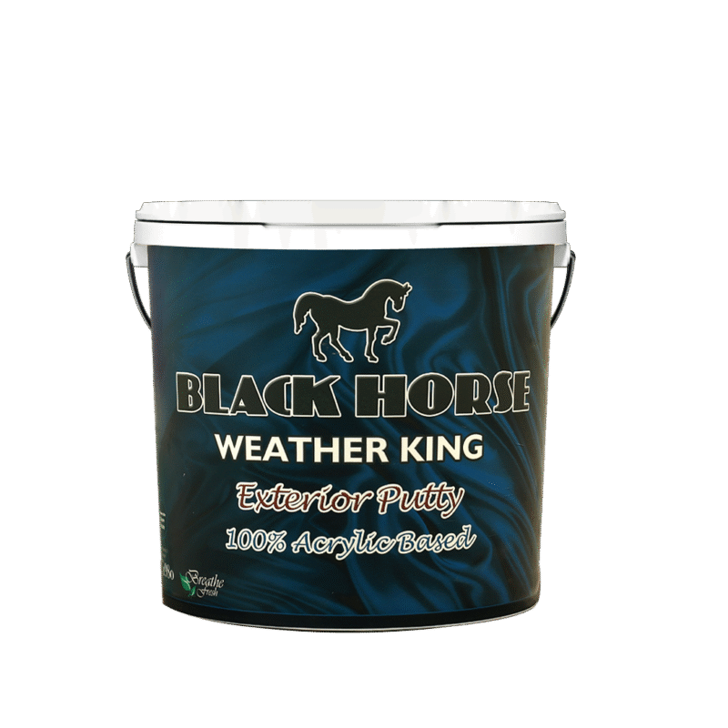 WEATHER KING PUTTY – blackhorsepaints.pk