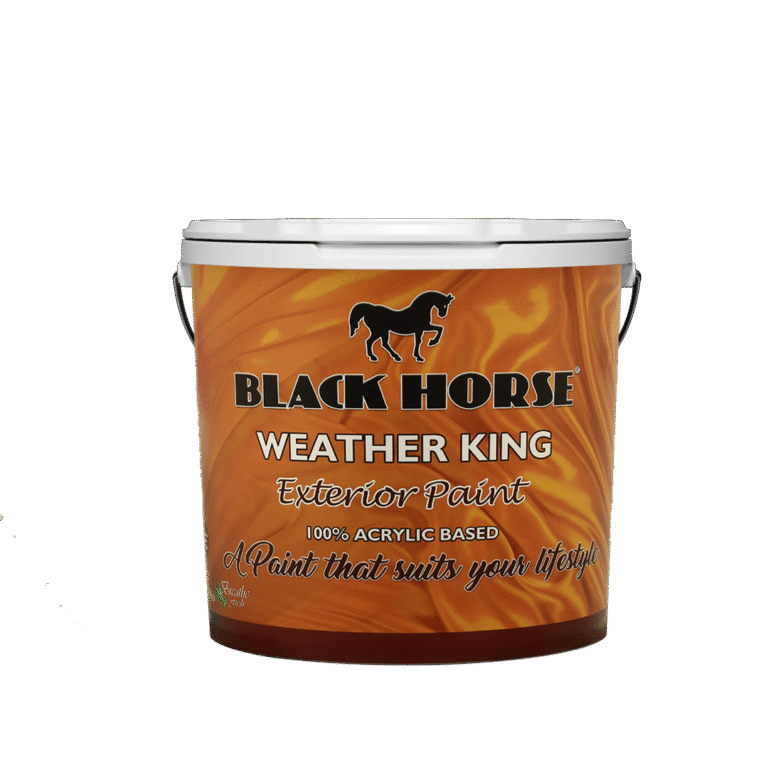 WEATHER KING PAINT – blackhorsepaints.pk